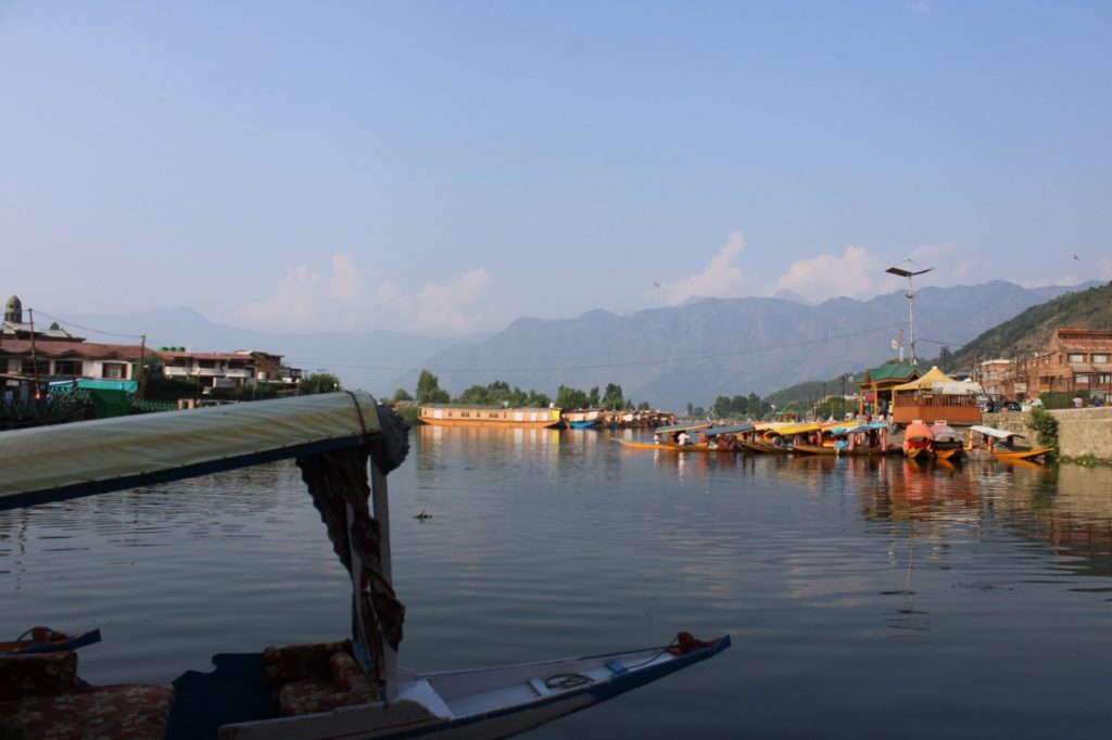 Life in Srinagar—Part I: Pathos and Pollution of Dal Lake | Free Press ...