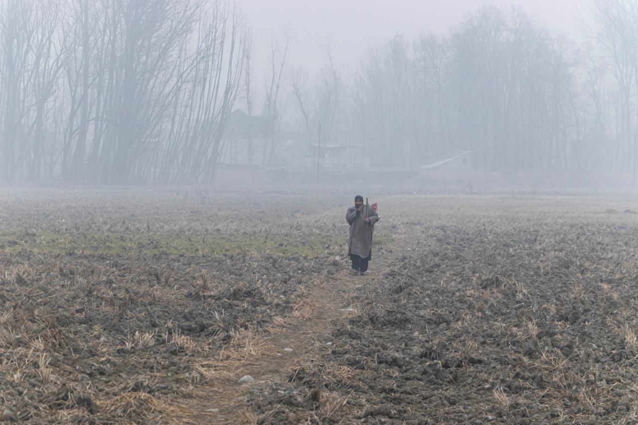 No major Western Disturbance till Jan 20; Significant snowfall unlikely ...