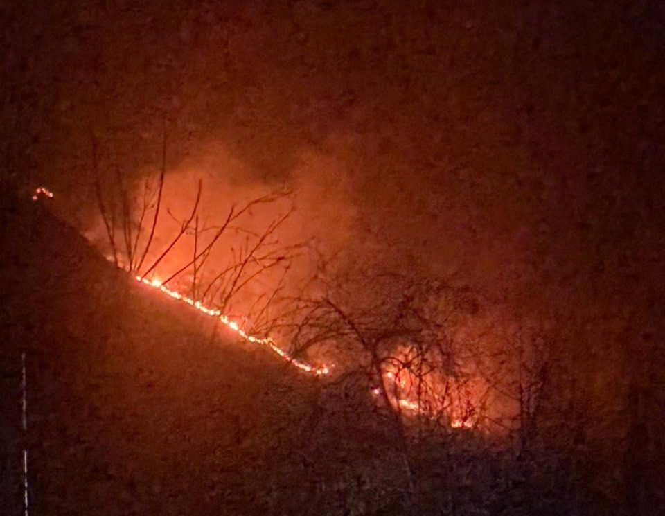 Boniyar forest fire triggers panic after videos go viral; officials say ...