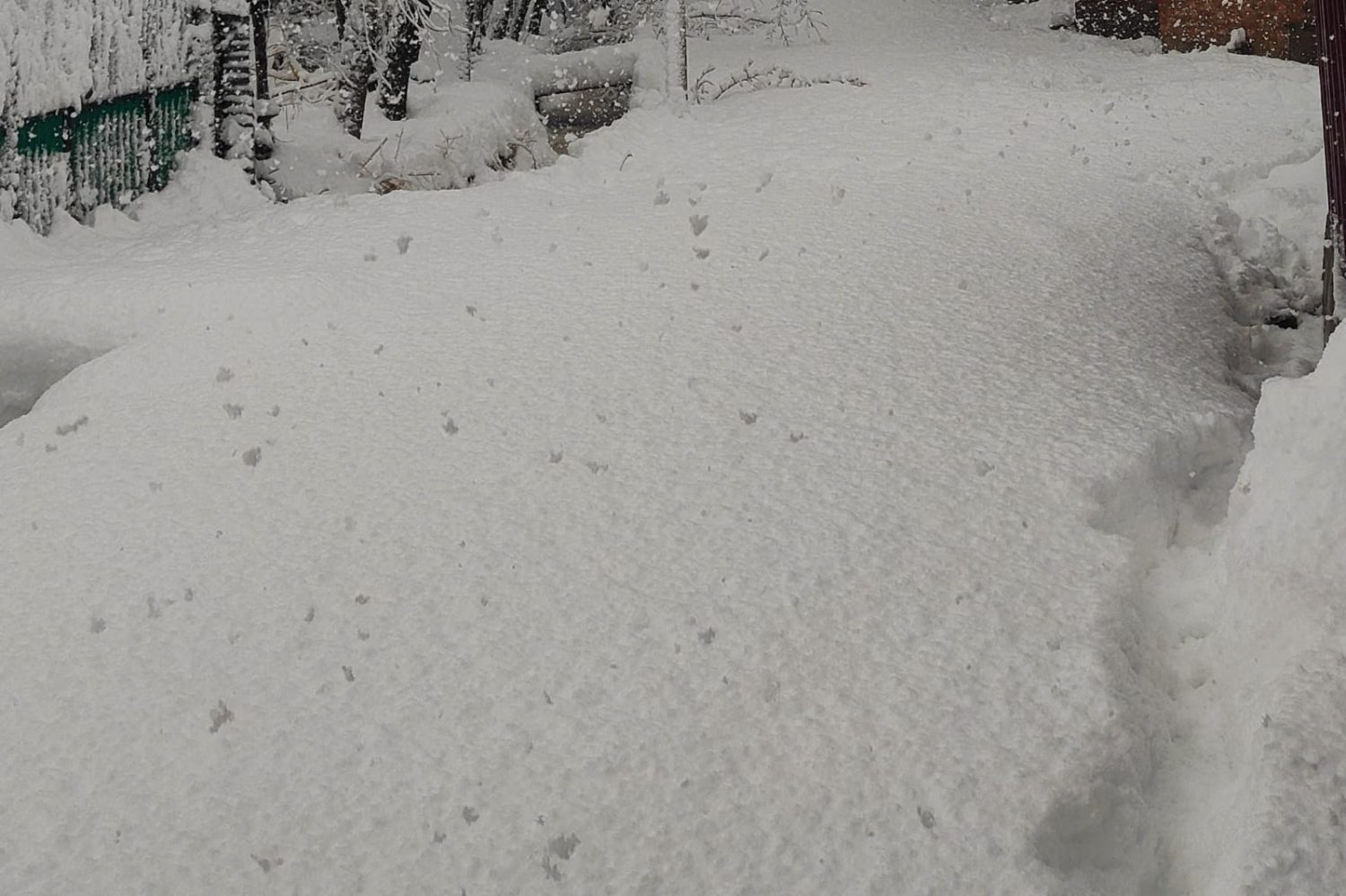 Budgam: Paris Abadpora link roads uncleared after snowfall; residents ...